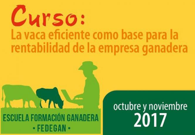 LA VACA EFICIENTE como base para la rentabilidad de la empresa ganadera ...